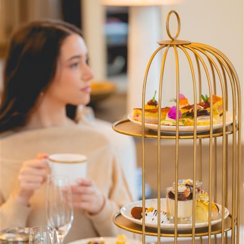 Salamander Washington DC | Luxury Hotels in Washington DC