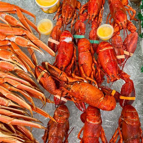 Salamander Washington DC | Luxury Hotels in Washington DC