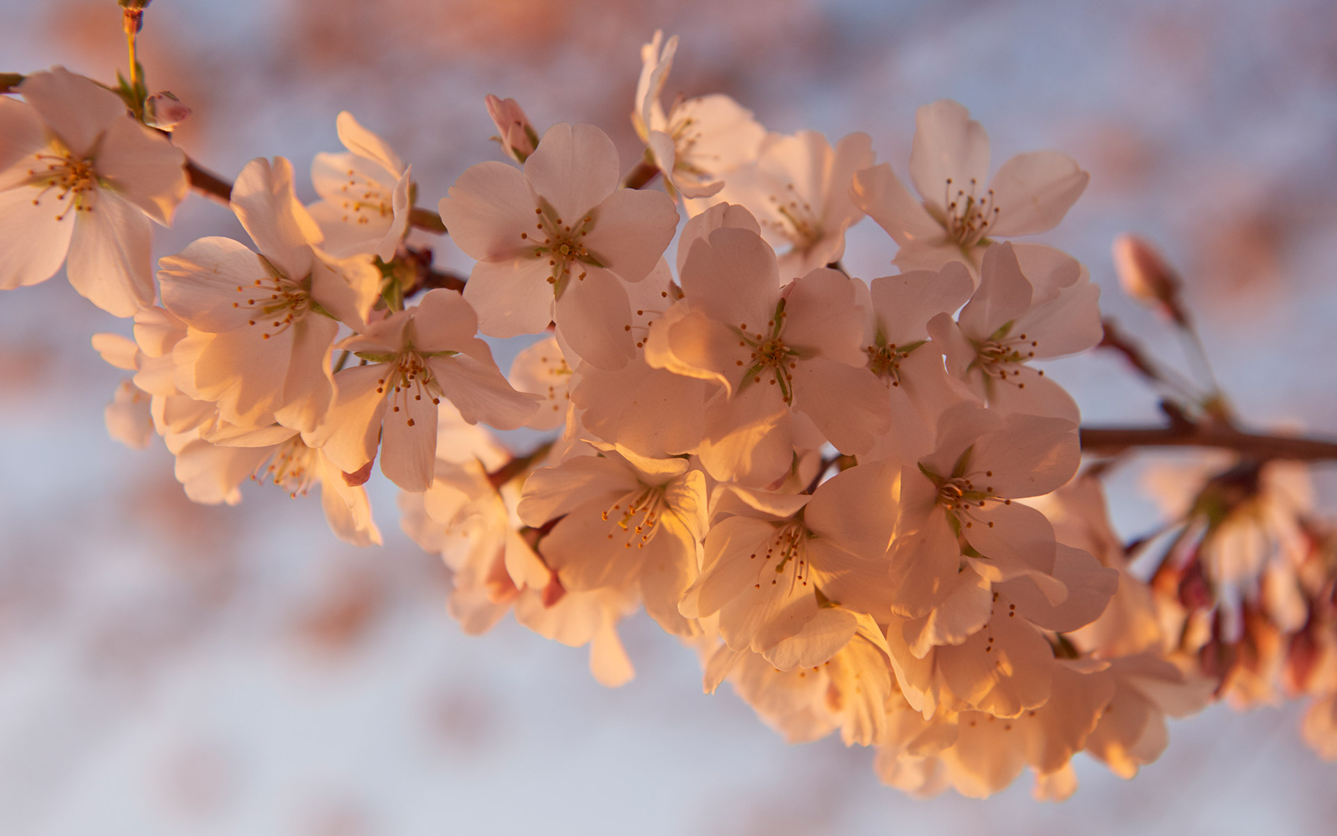 Luxury Wellness & Spa | National Mall | Salamander Washington DC