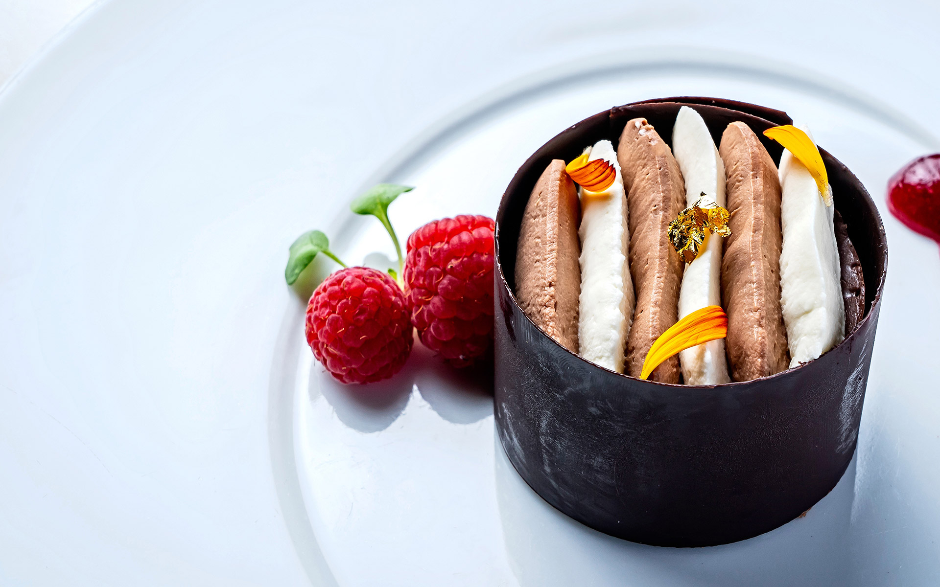 Best Restaurants, Bars & Lounges | Salamander Washington DC