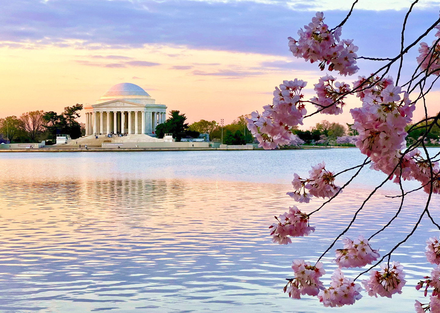 Spa Treatment Menu | Facials & Massage | Salamander Washington DC